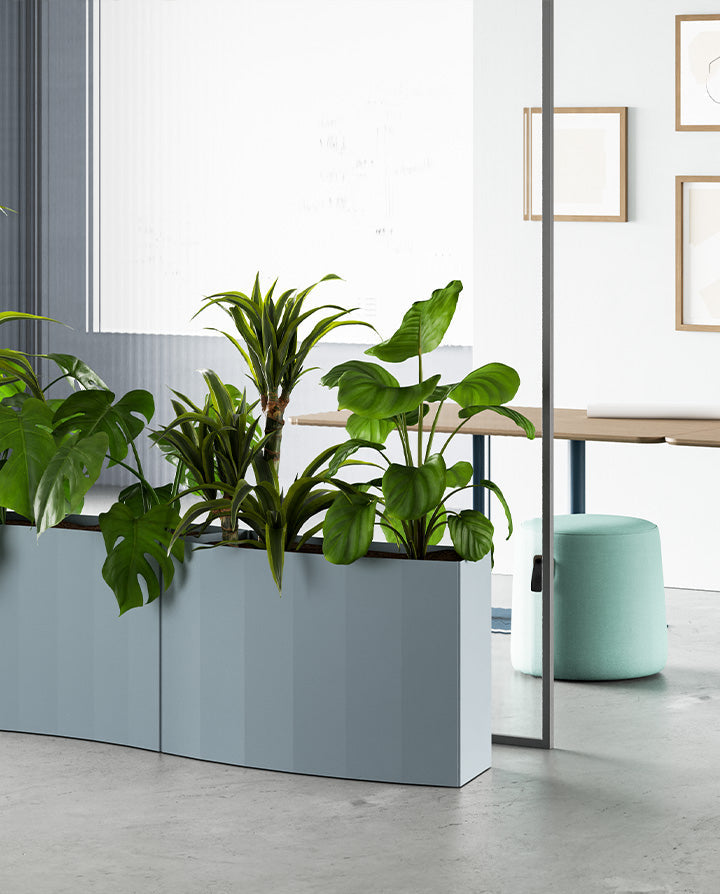 Stanza 6 Weeks or Less – hightower.design