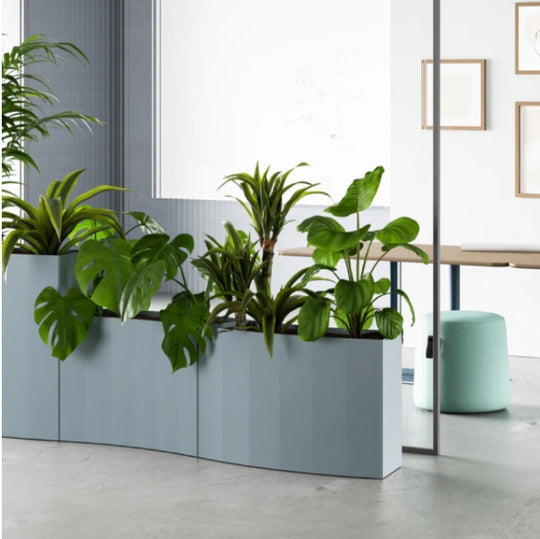 Boulevard – hightower.design